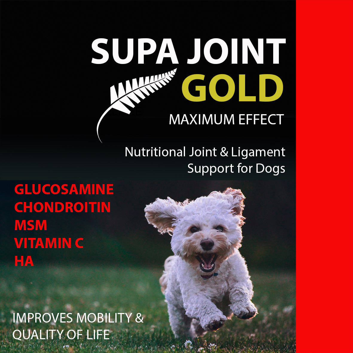 SUPA JOINT GOLD - Dogs – Elite Equine Nutrition