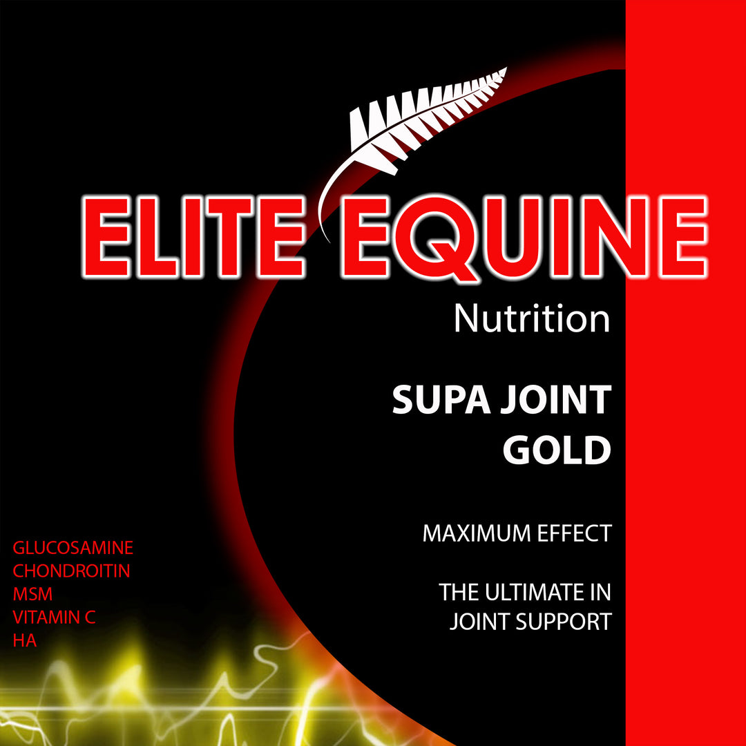 SUPA JOINT GOLD – Elite Equine Nutrition